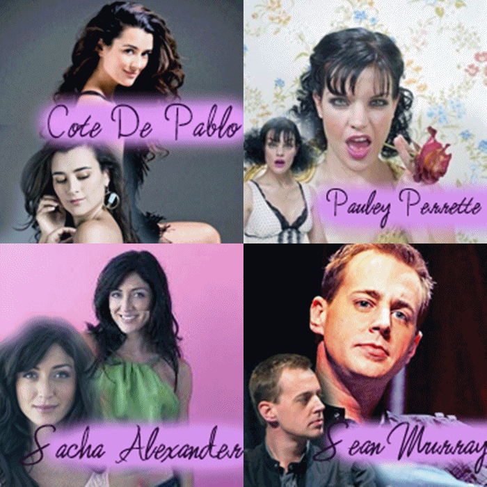 Ncis Enquetes Speciales